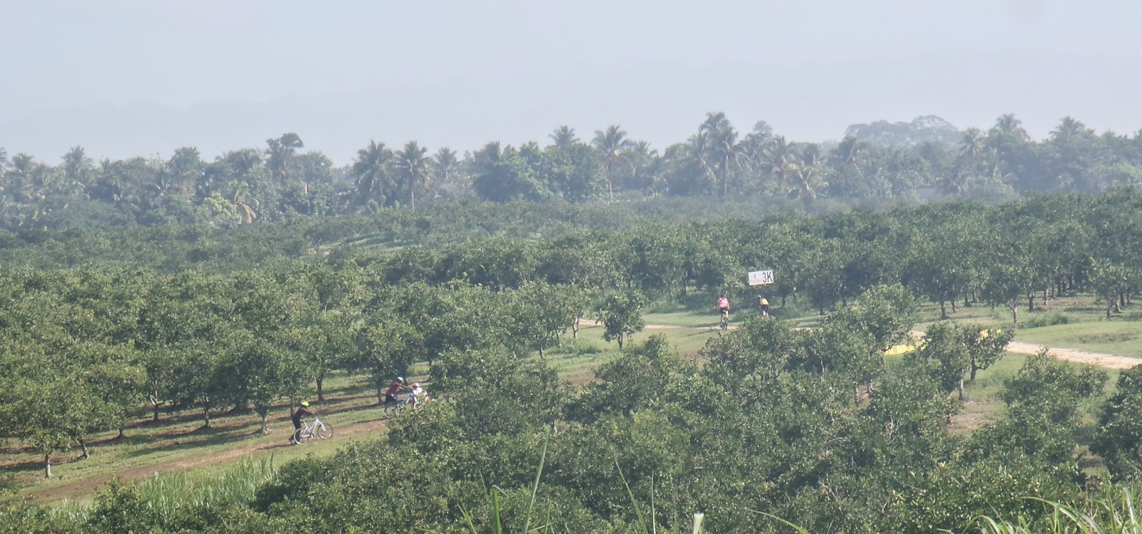 Joan, my views: That Tru Juice Race