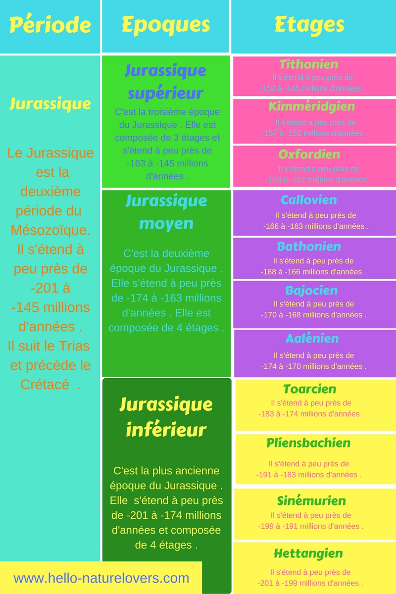 Le Jurassique, la période de dominance des Reptiles marins et ...