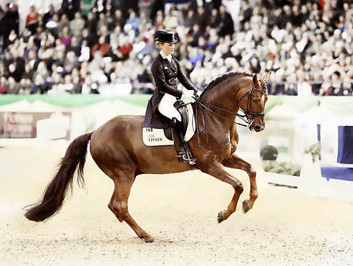 PFERDE & REITEN & TURNIERE : Dressur: Helen Langehanenberg