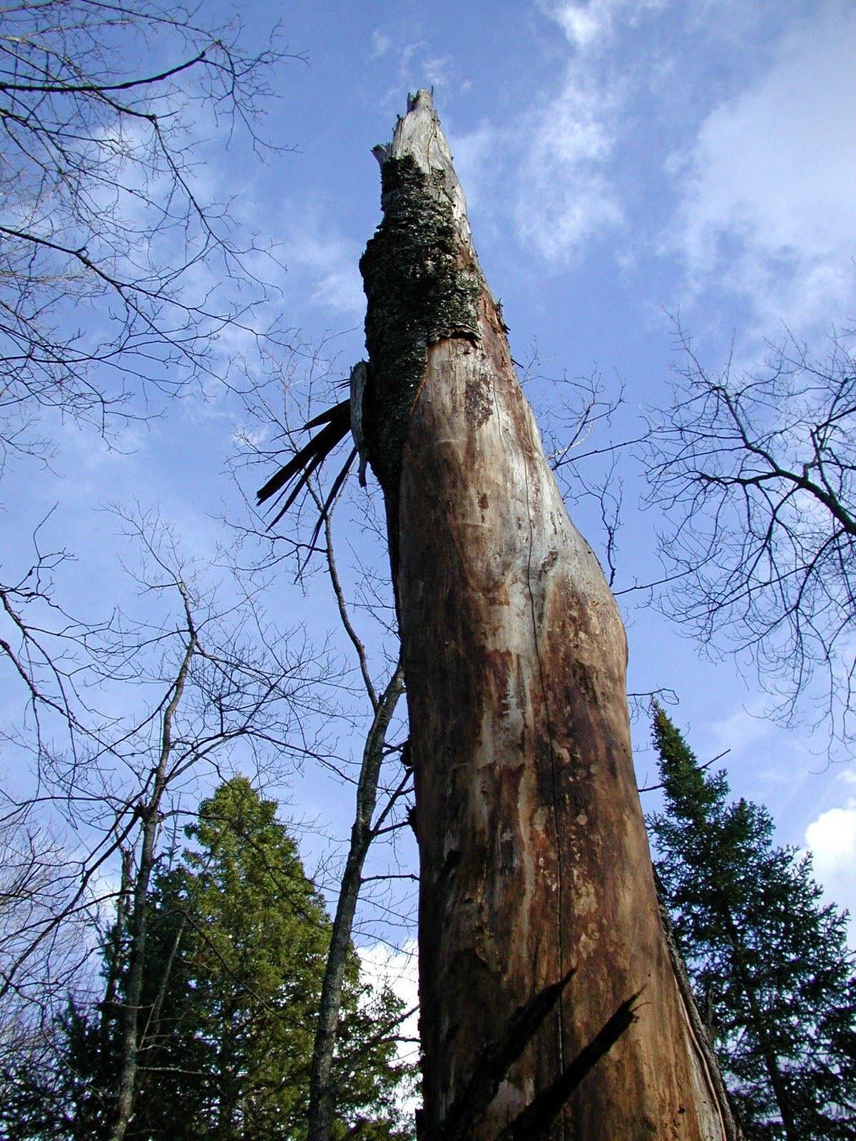 Fern Glen Inn - Seasons and Reasons: 2011