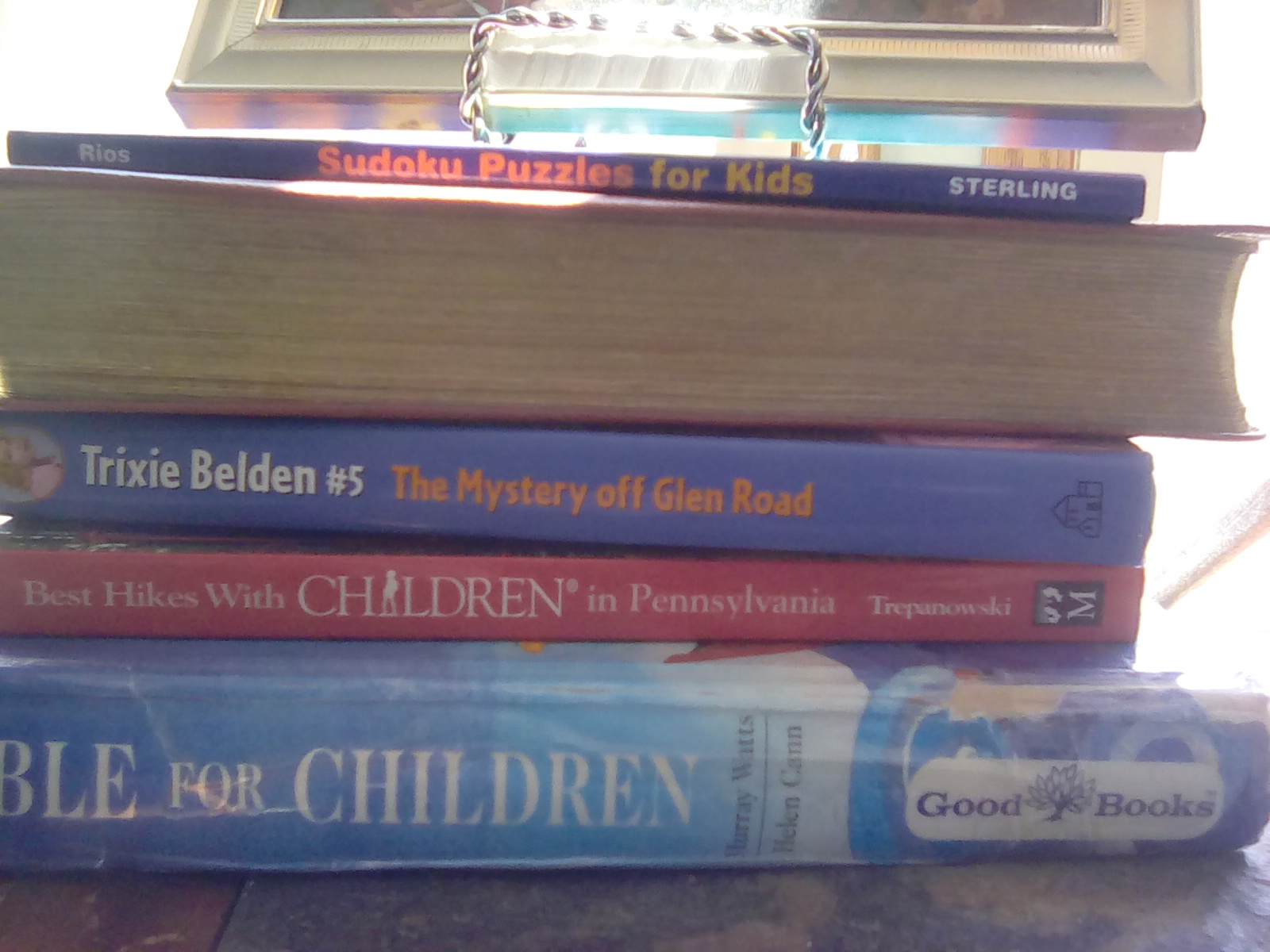 Dominique Speaks: Your Long Lost Library Books