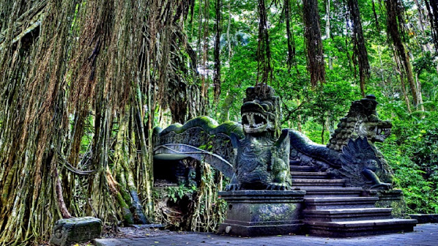 10 Tempat Wisata di Ubud Bali Paling Populer Dan Wajib Dikunjungi ...