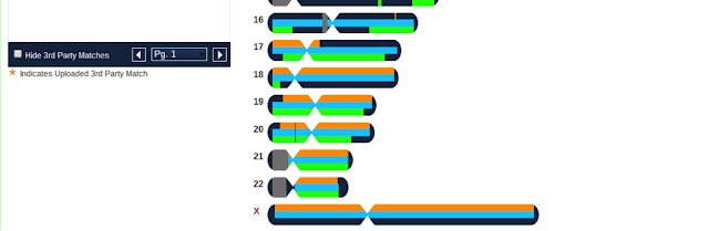 Your Genetic Genealogist: FTDNA Releases X-Chromosome Matching Data