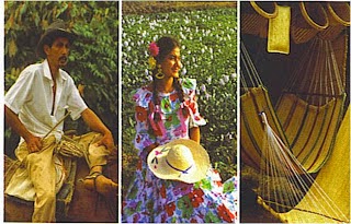 Derechos de las comunidades,pueblos y nacionalidades : enero 2015