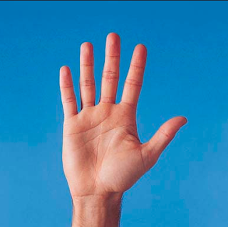 Diamond Gold Skincare - Shaezy