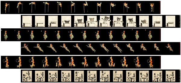 Principles of Design: Assignment 6: Colour Wheel, Zoetrope research