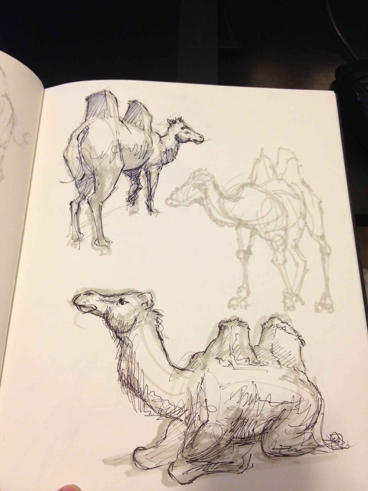 Tyler Chow: Some updates