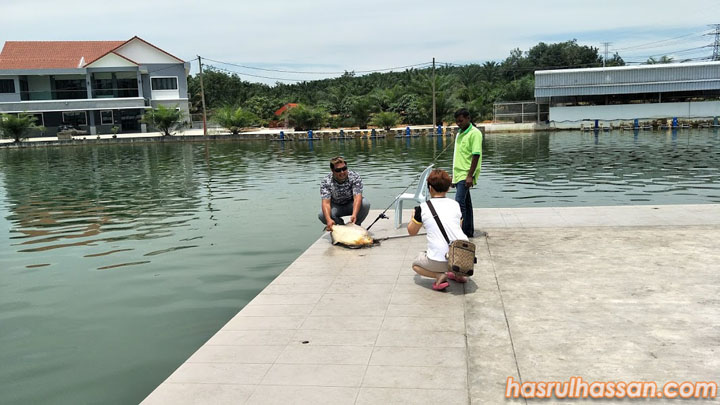 Ikan Saiz Mega di Kolam Pancing Behrang
