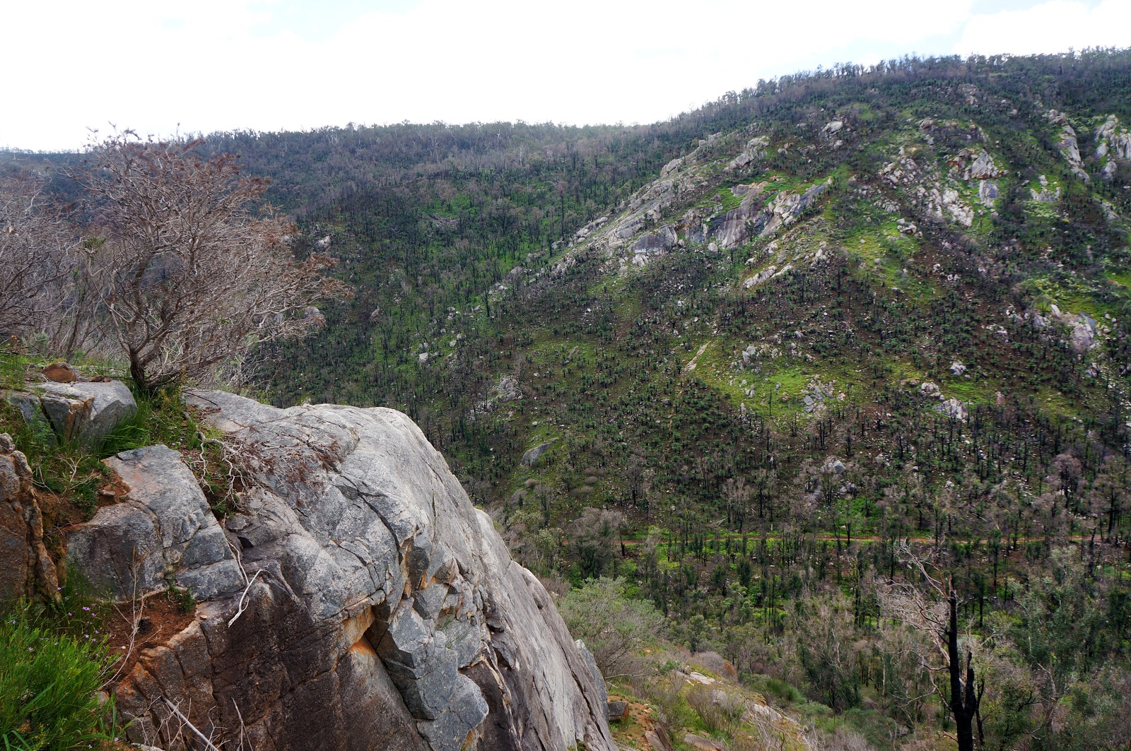 Wungong Gorge Walk GPS Route (Wungong Regional Park) ~ The Long Way's ...