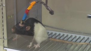 Beam Me Up - Science & Science Fiction news: March 2013