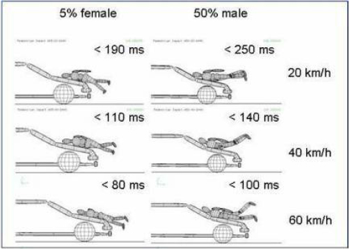 Pedestrian Protection: Pedestrian Protection In Europe The Potential of ...
