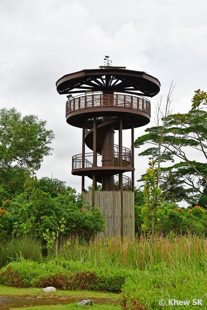 Butterflies of Singapore: Dec 1, 2018