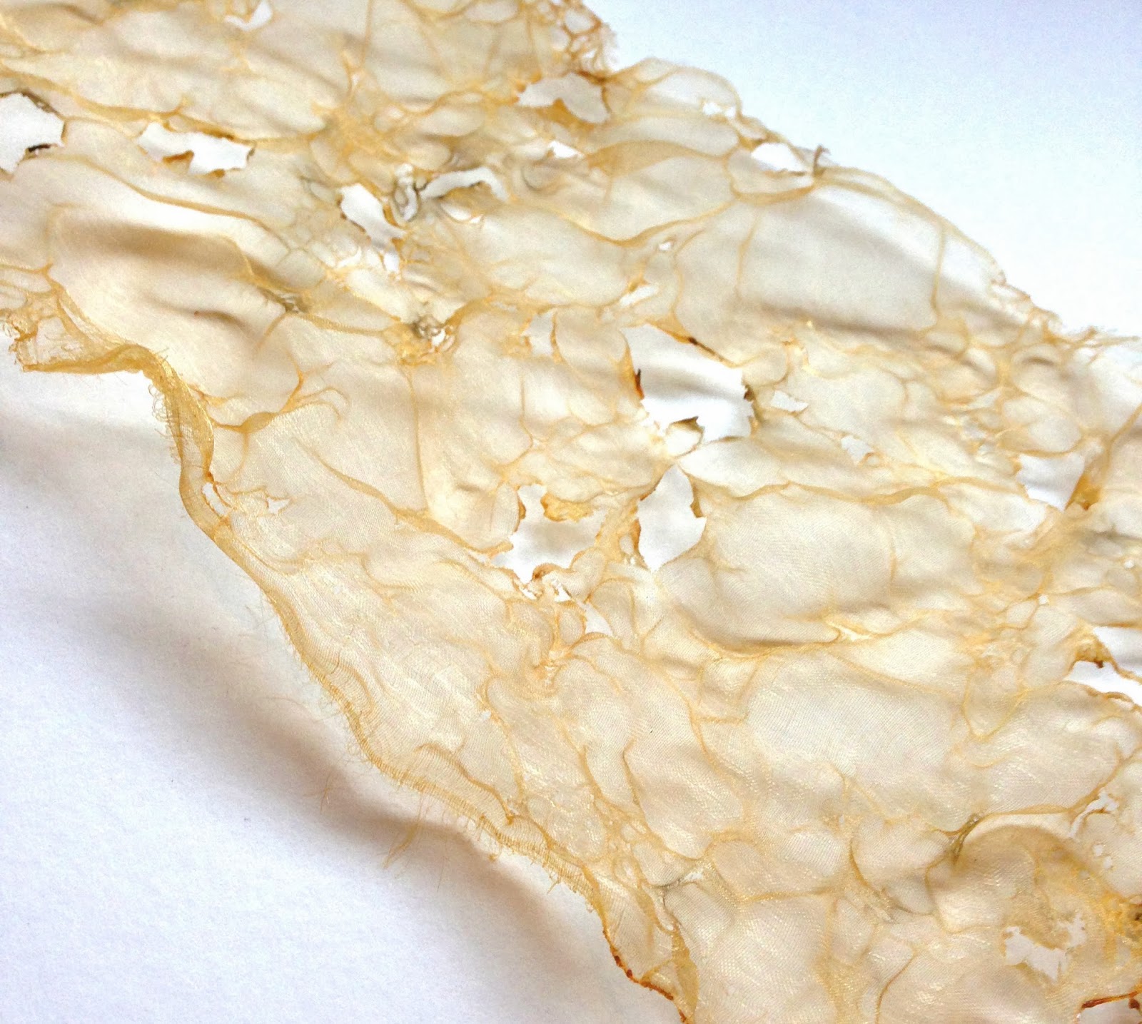 T E X T U R E D E S S E N C E: BURNING