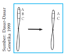 Santi's Blog: Abnormalitas Akibat Perubahan Jumlah Kromosom