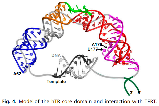 Recent Publications in Chemical Biology and Biomolecular Engineering ...