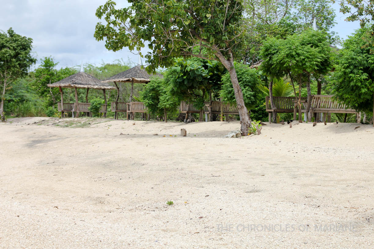 Back Home in Mandaon, Masbate | The Chronicles of Mariane