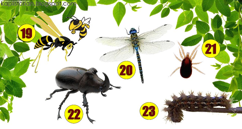 The Kapampangan Listorian: 10. 23 NAMES OF COMMON (AND NOT-SO-COMMON ...