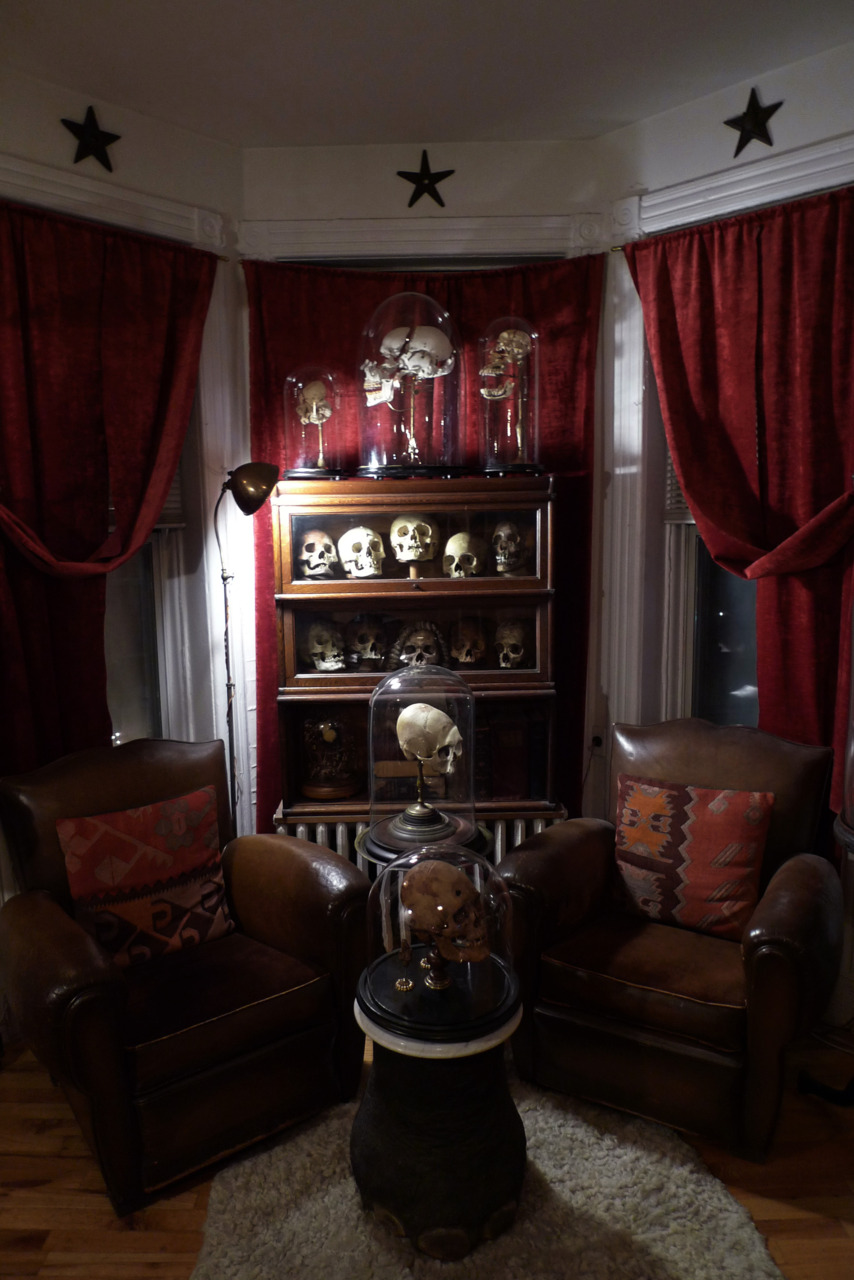 “Curiouser and curiouser!”: Ryan Matthew Cohn