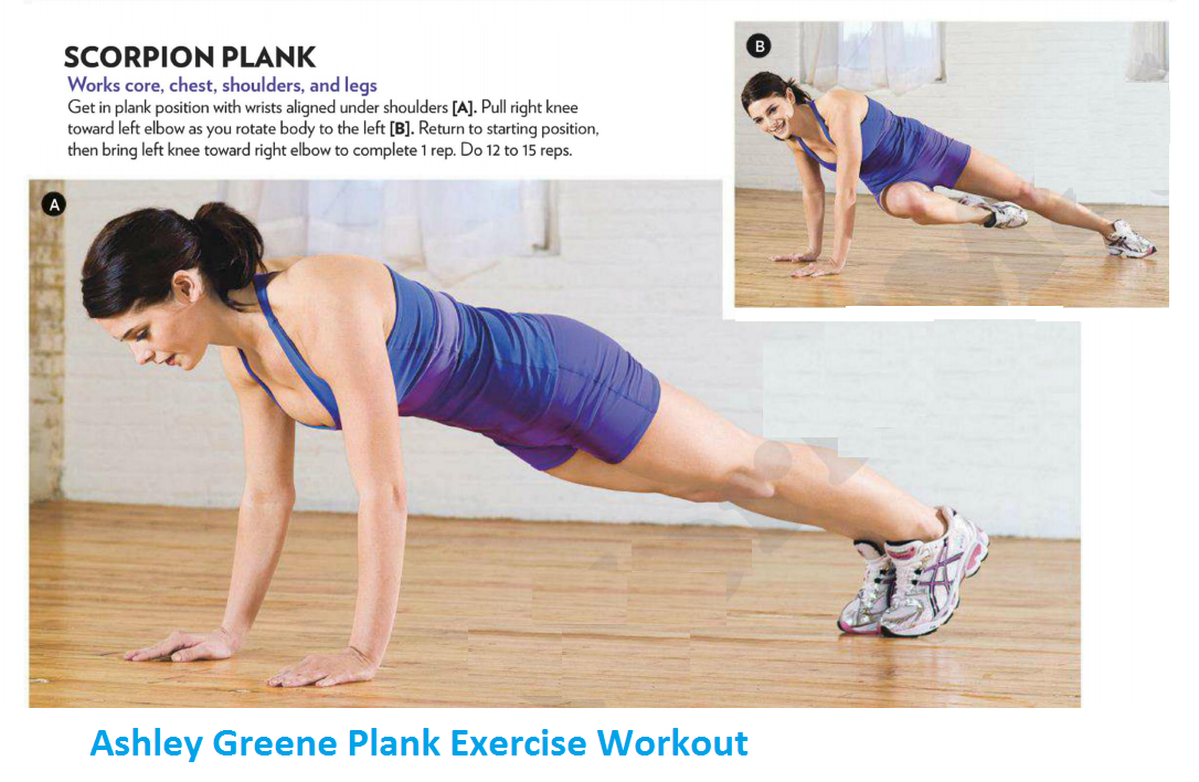 Scorpion Plan Exercise workout By Ashley Greene | Plank Exercises ...