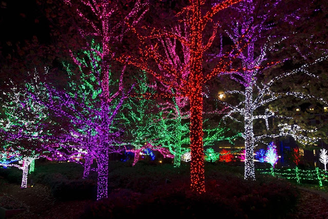 Tips for low light photography : Capture every Christmas moment ...