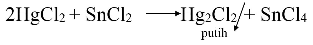 IDENTIFIKASI KATION: GOLONGAN I - Kidut's Theory....