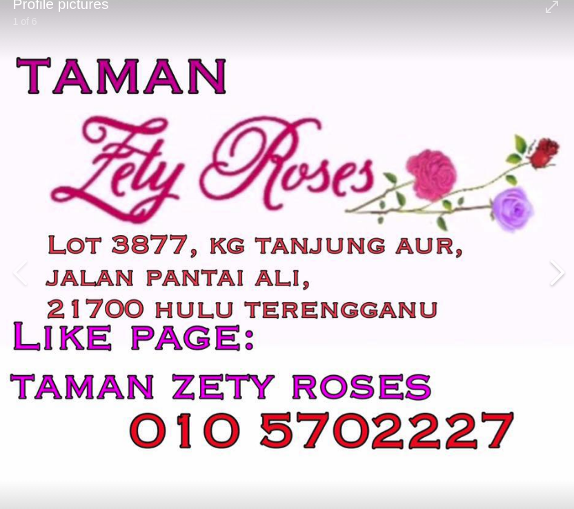 Tanam Ros Untuk Beginner: August 2017