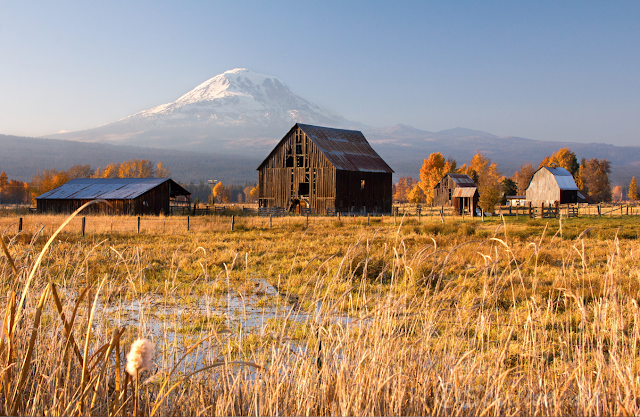 Glenwood Washington: May 2016
