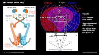 Visual Field - Human Visual Field