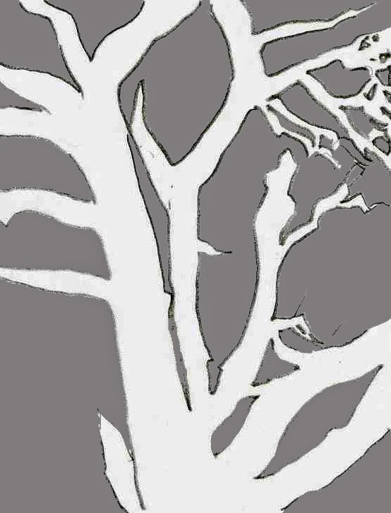 Diane Wright Art Journal: Article Six - Techniques to Help you "See"