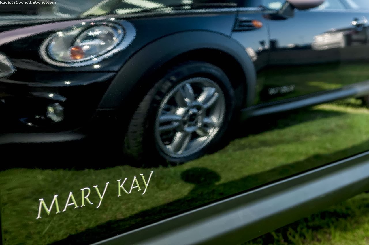 Yoryi (puntocom) - Modelismo y Maquetas - Mini Cooper 1/24 Fujimi (Mary ...