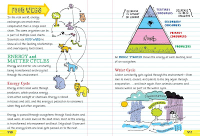 READING FOR SANITY BOOK REVIEWS: A Big Fat Spotlight on the Big Fat ...