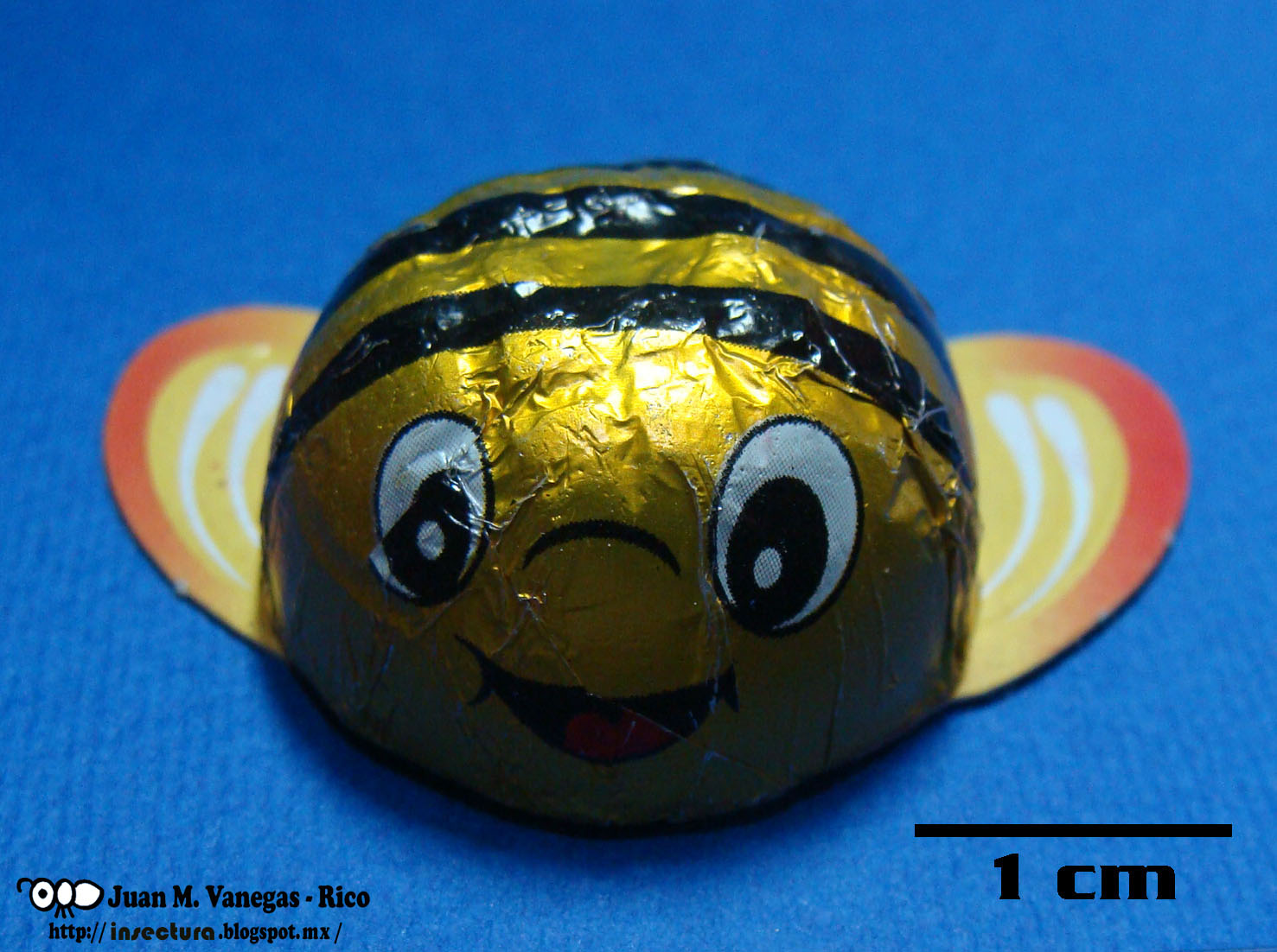 INSECTURA: chocolates con forma de abeja y catarina