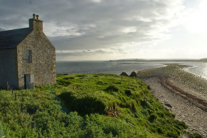 Scottish Islands Explorer: Copinsay Stay