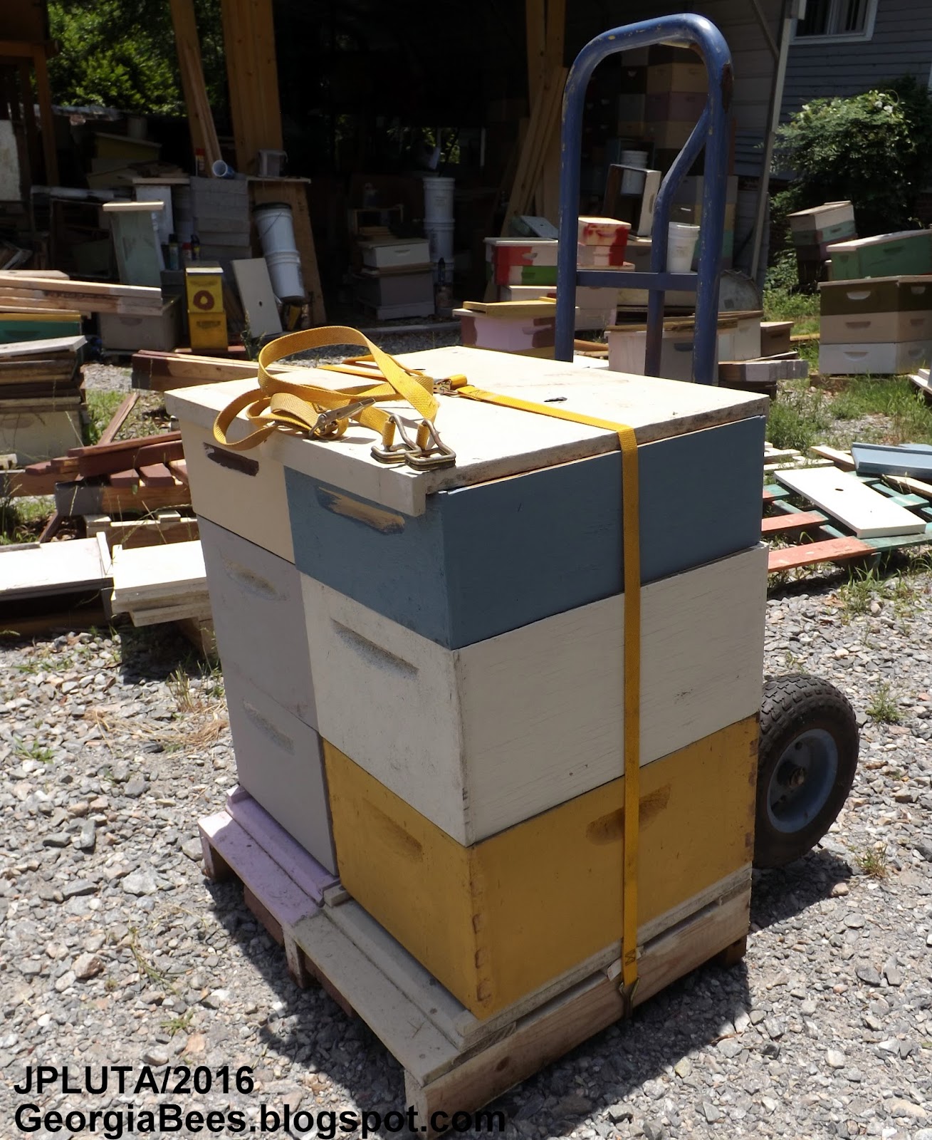 BEEKEEPING Beekeeper Honey Bees Pollen Wax Candle Propolis Queen Nuc ...