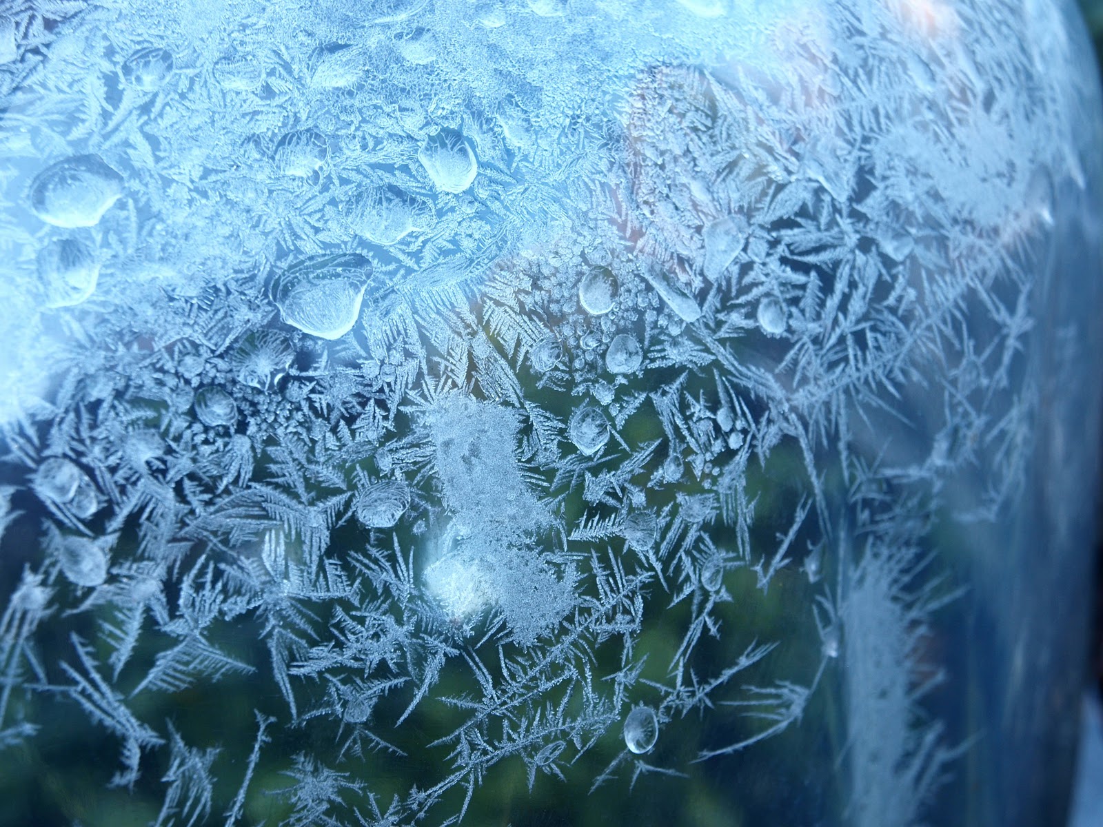 Mark's Veg Plot: Frost patterns - Nature's own artform
