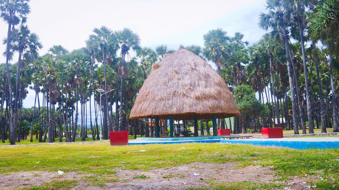 Keindahan Gurun Pasir Timor Tengah Selatan di Pantai Oetune - MISTER ...