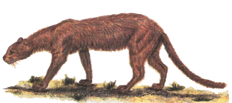 Protección a la Naturaleza: ESPECIES PROTEGIDAS GUATEMALA