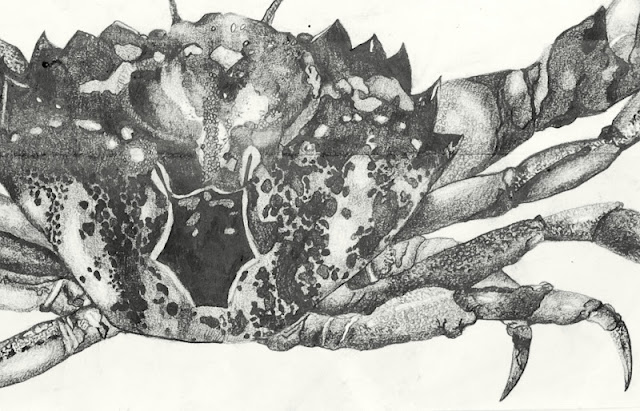 Abstract Noun: Double Sided Drawings