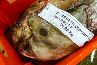 Through the Gaps! - Newlyn Fishing News: Fladda Maid and Crystal Sea ...