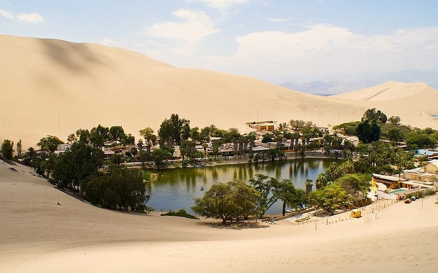 GEOGRAFILIA: Zonele biogeografice: zona caldă