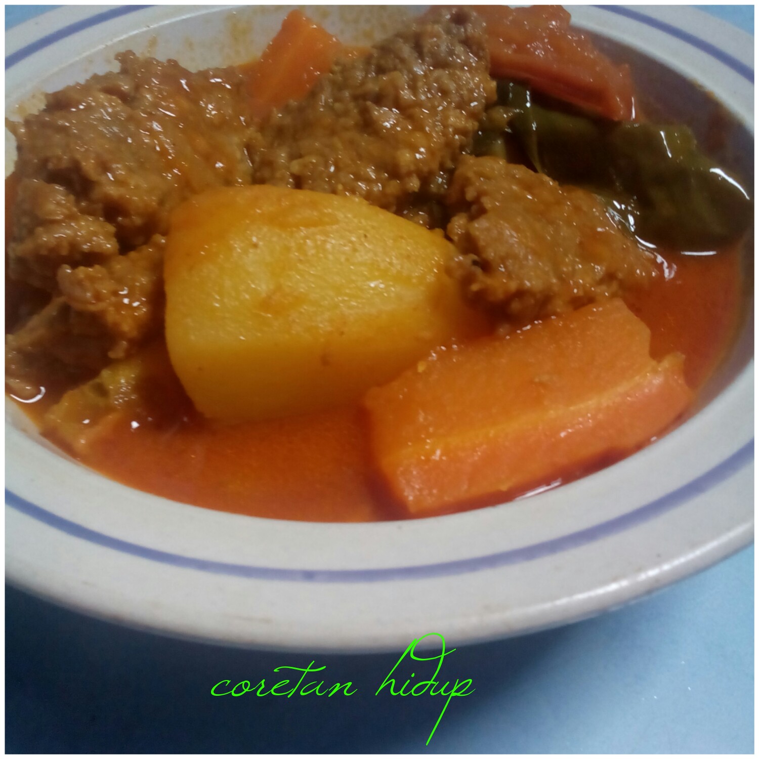 CORETAN HIDUP: Kari daging burger