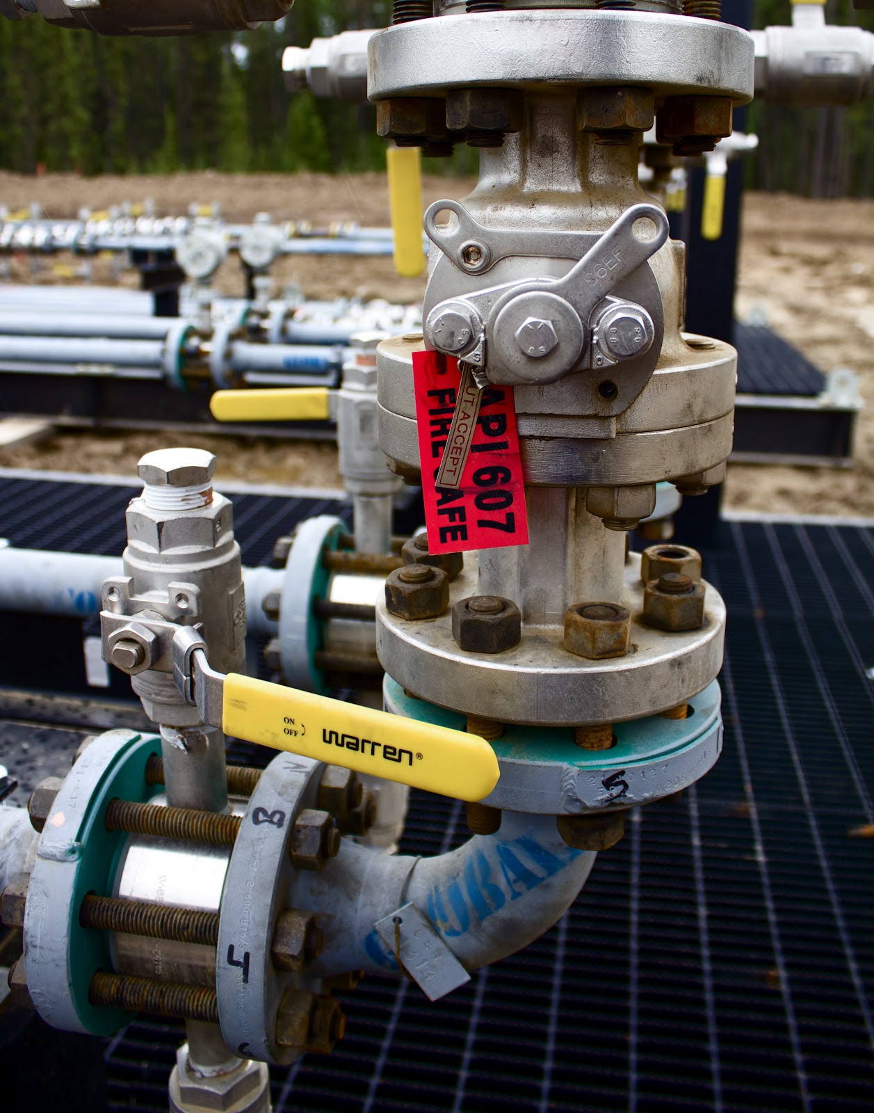 Lance Cardinal Creations: 08/17/12