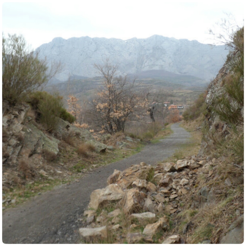 Conociendo León: Yacimiento de Corales de Matallana de Torío