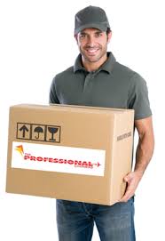 Professional courier tracking