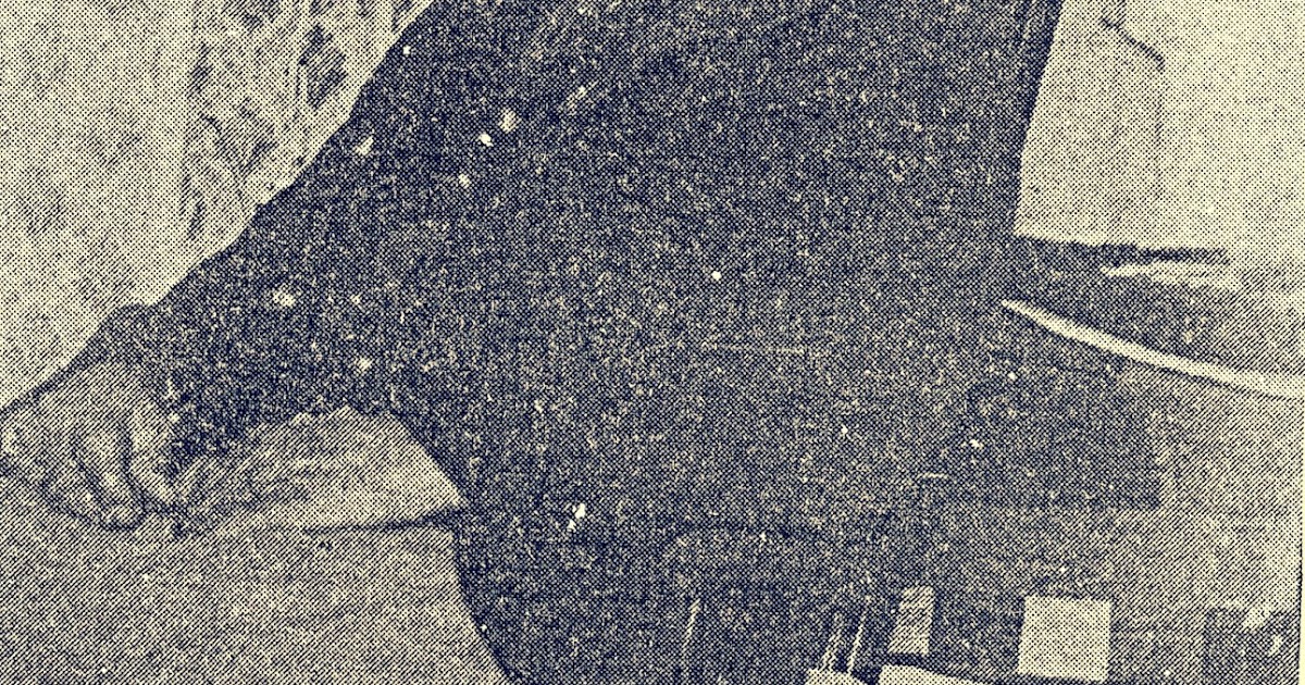 From the Pages of History: 66. Deerfield Civil War Vets, 84th Indiana ...