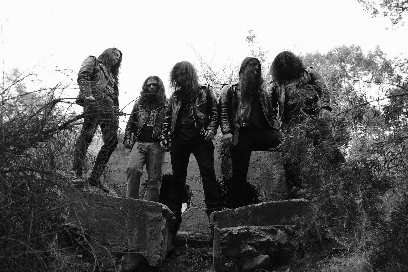 TRANSCENDENCE revela detalhes do seu álbum de estreia