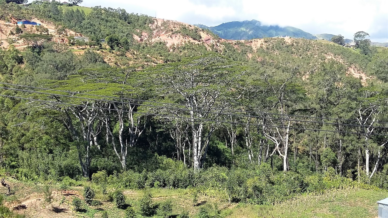 Impressões de Timor Leste: Subida aos 3000 metros do Foho Ramelau