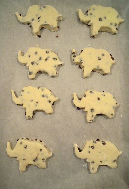 An Elephant a Day: Elephant No. 142: Scones