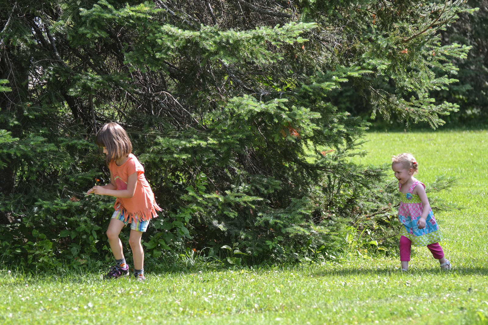 Imgrsc Фотохостинг На Русском — Фото Картинки