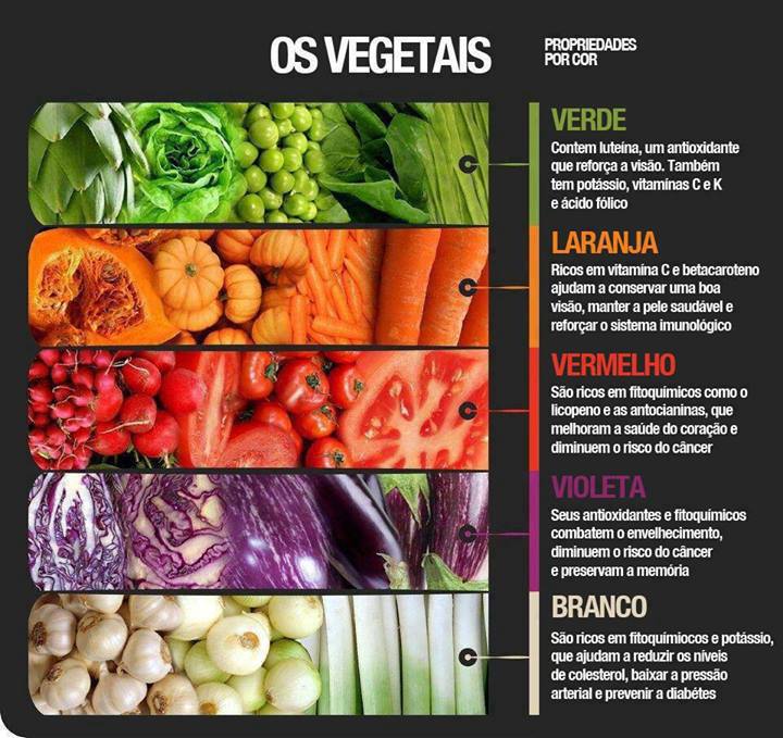 TITA´S COOK : A IMPORTÂNCIA DOS VEGETAIS EM NOSSA ALIMENTAÇÃO..